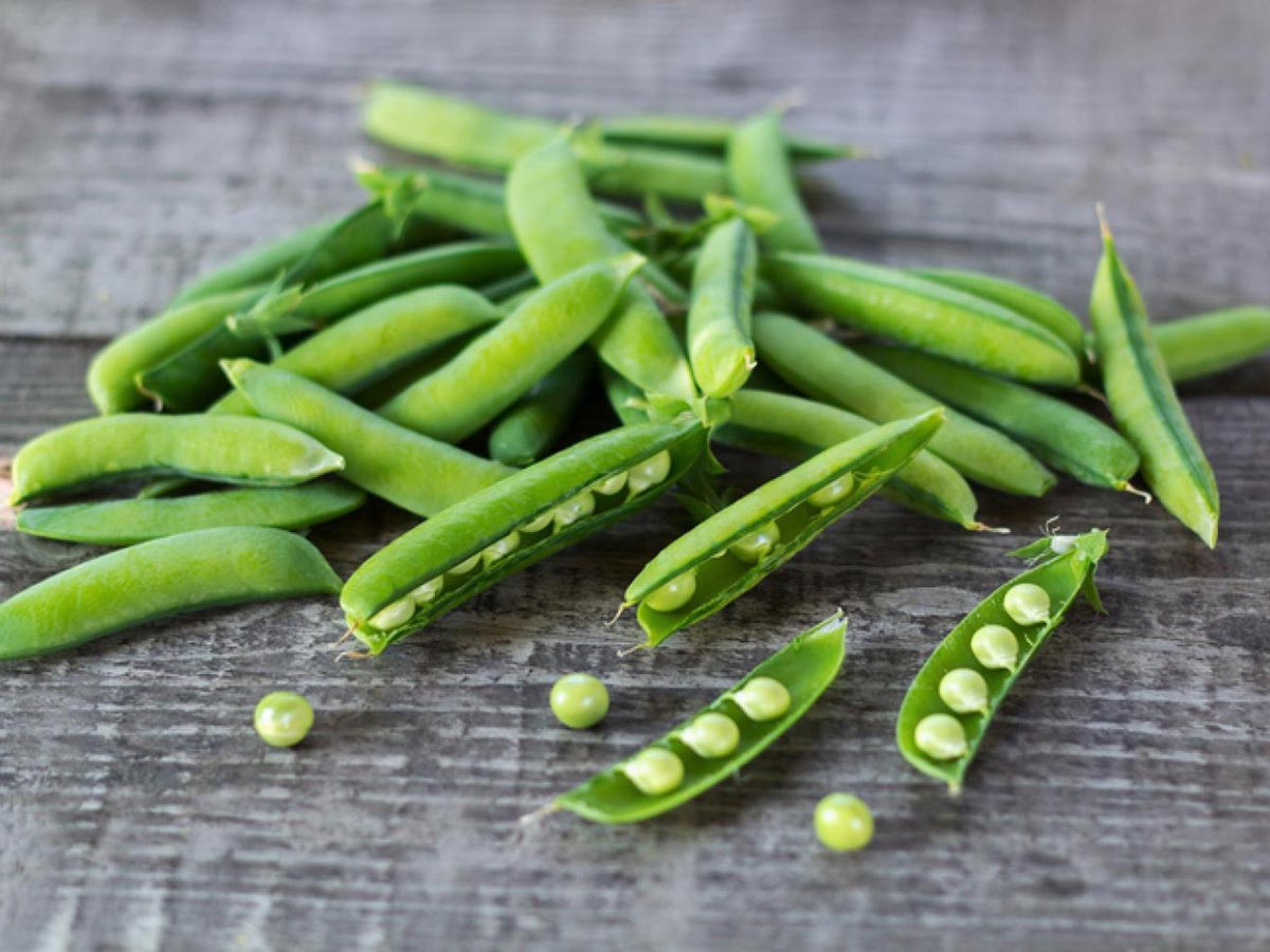 Pea & Snow Pea – LifeForce Seeds