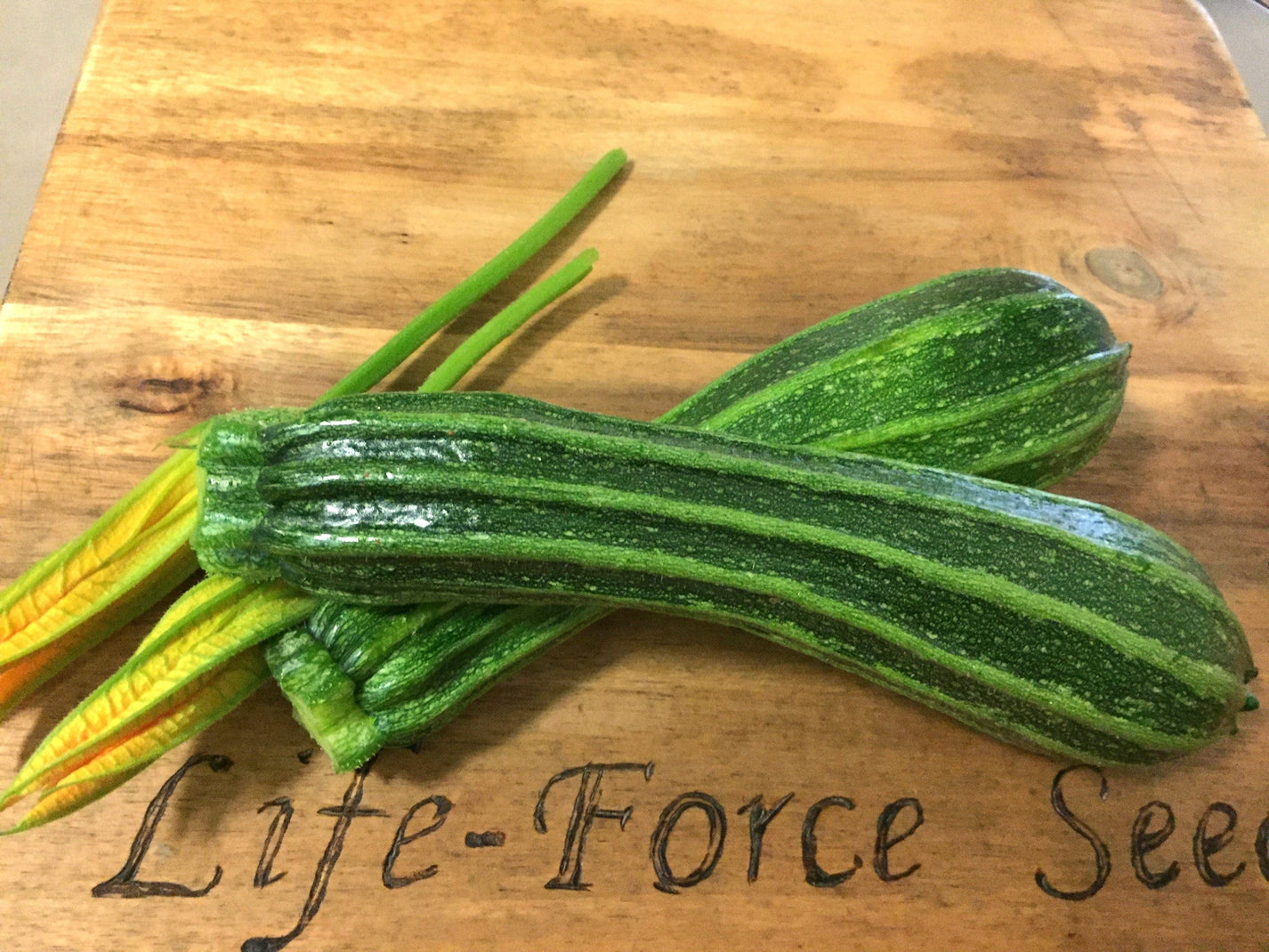 Zucchini, Costata Romanesco – LifeForce Seeds