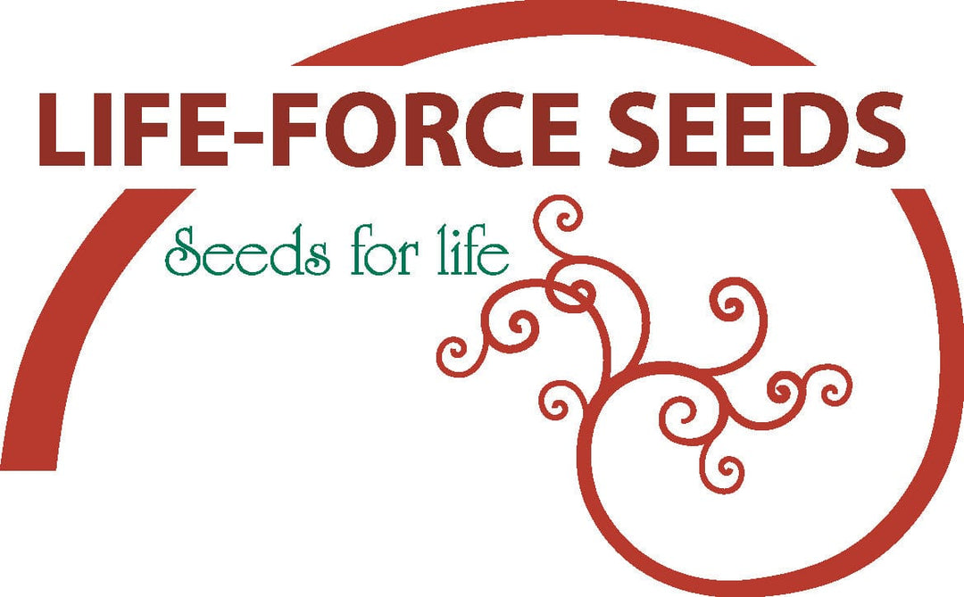 Seed Sowing Guide | LifeForce Seeds