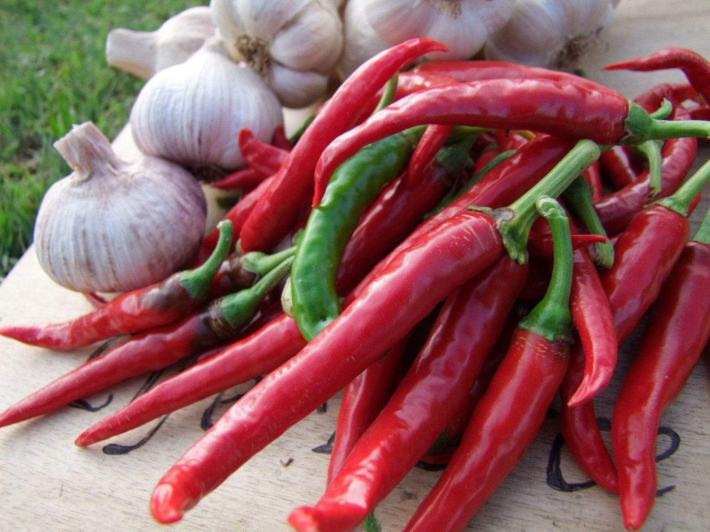 Chilli, Cayenne Long Thin – LifeForce Seeds